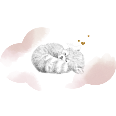 Bijzondere sluitzegel wolkje tekening lief pandabeertje