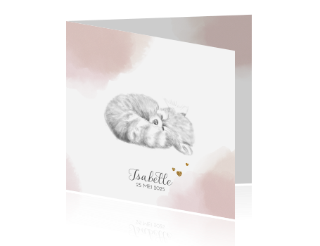 Klassieke geboortekaart waterverf potloodtekening rode panda Isabelle